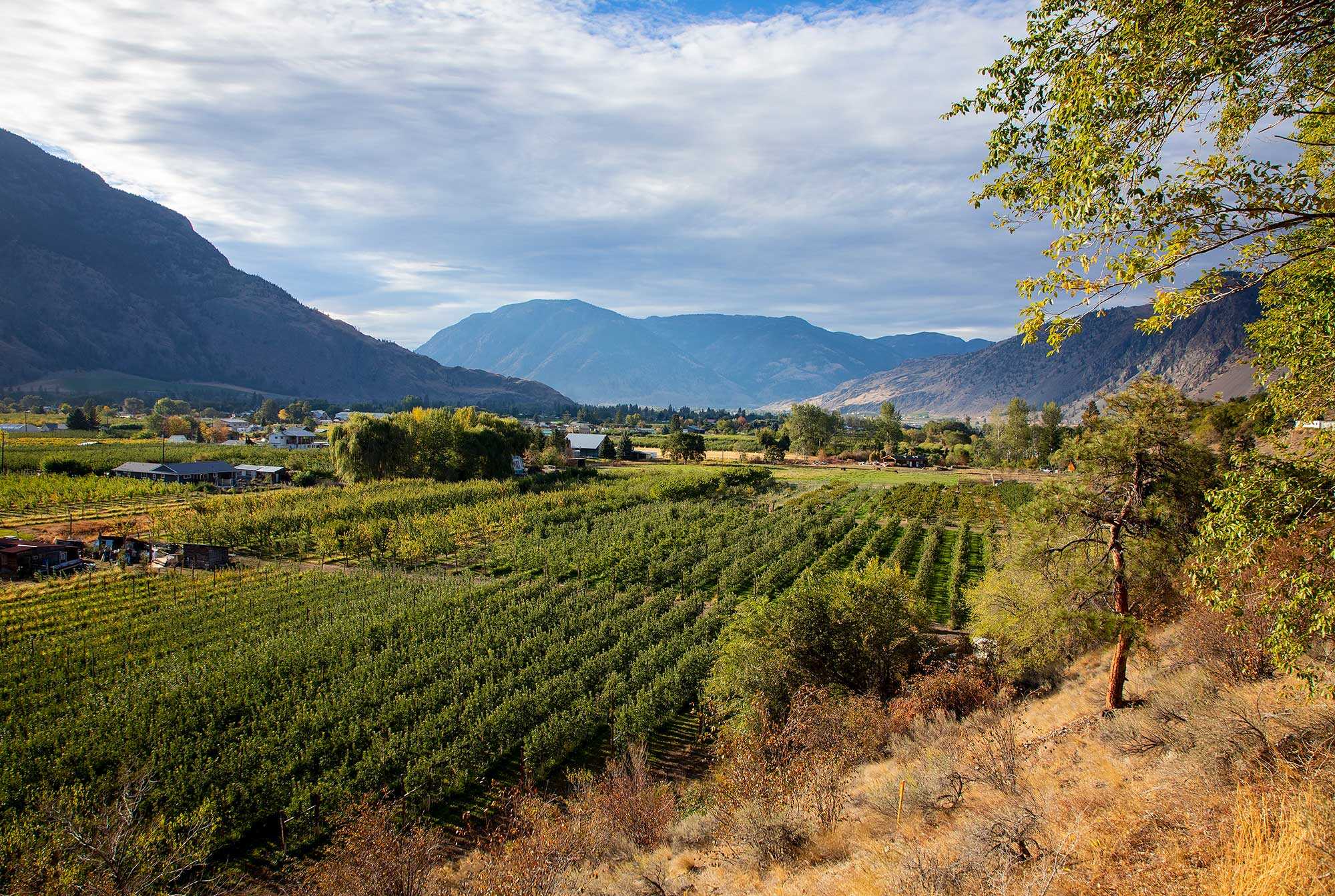 Cawston | Our Communities | Similkameen Valley