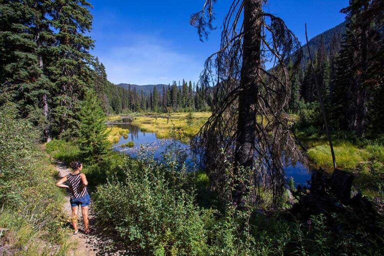 Manning Park | Four Seasons of Fun | Similkameen Valley